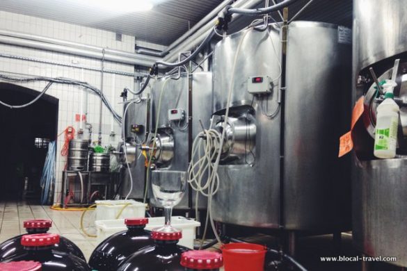 Raise a glass to Slovenian craft beer makers ⋆ BLocal | Street Art ...