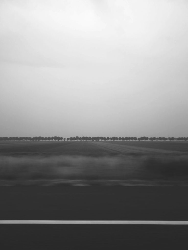 Day Trip from Amsterdam: the New Land and how the Dutch people tamed ...