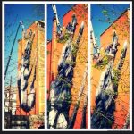 Street Art in Rome: A Guide to Ephemeral Art in Italy's Eternal City ⋆ ...